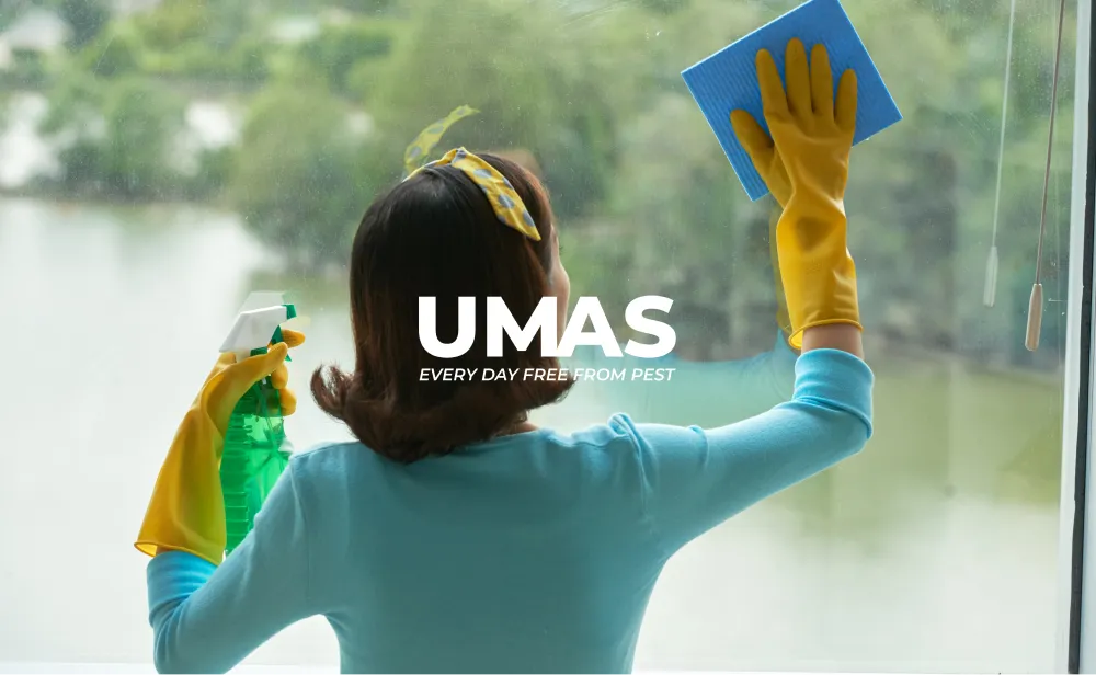 Tips dan Trik Efektif Mengatasi Hama di Rumah | Berita | PT. UMAS ...