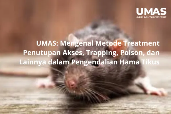 UMAS: Mengenal Metode Treatment Penutupan Akses, Trapping, Poison, dan Lainnya dalam ...