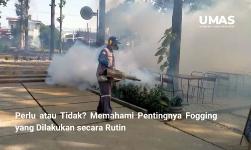 Perlu atau Tidak? Memahami Pentingnya Fogging yang Dilakukan secara ...